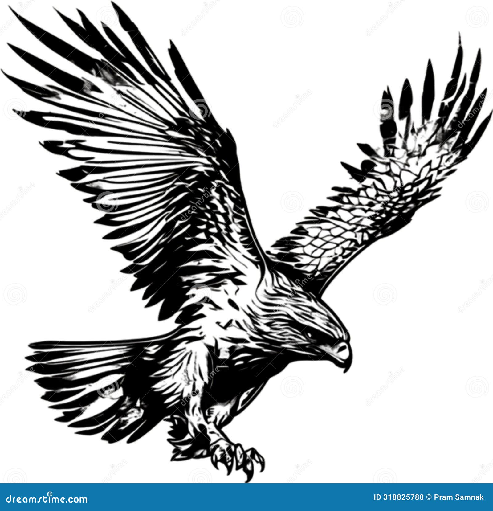 Red-Shouldered Hawk Flying Animal Animation Sequence Cartoon Vector ...