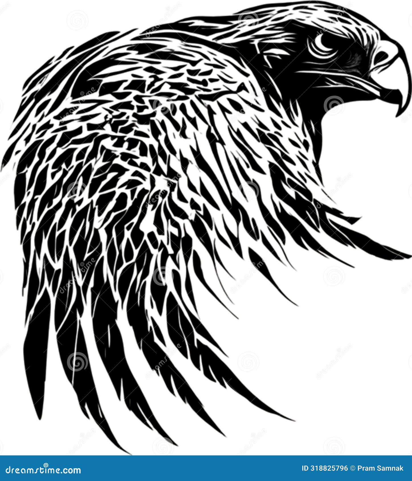 Red-Shouldered Hawk Flying Animal Animation Sequence Cartoon Vector ...