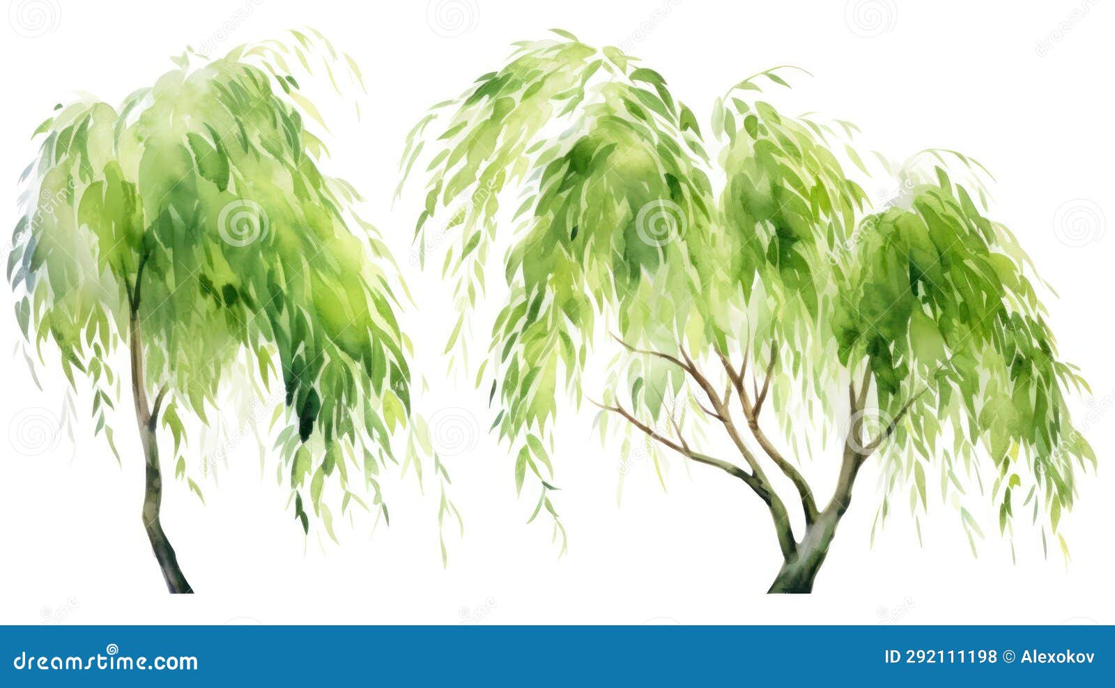 Graceful Watercolor Willow Tree Branch AI Generated Stock Illustration ...