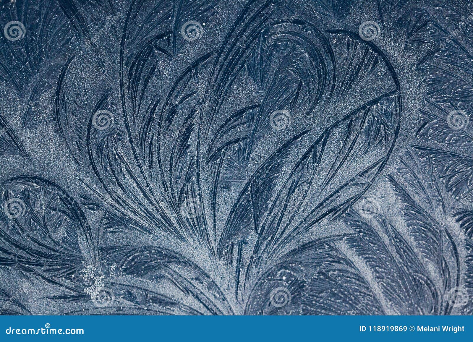 Gracefully Arcing Lines in Frost Patterns Stock Image - Image of ...