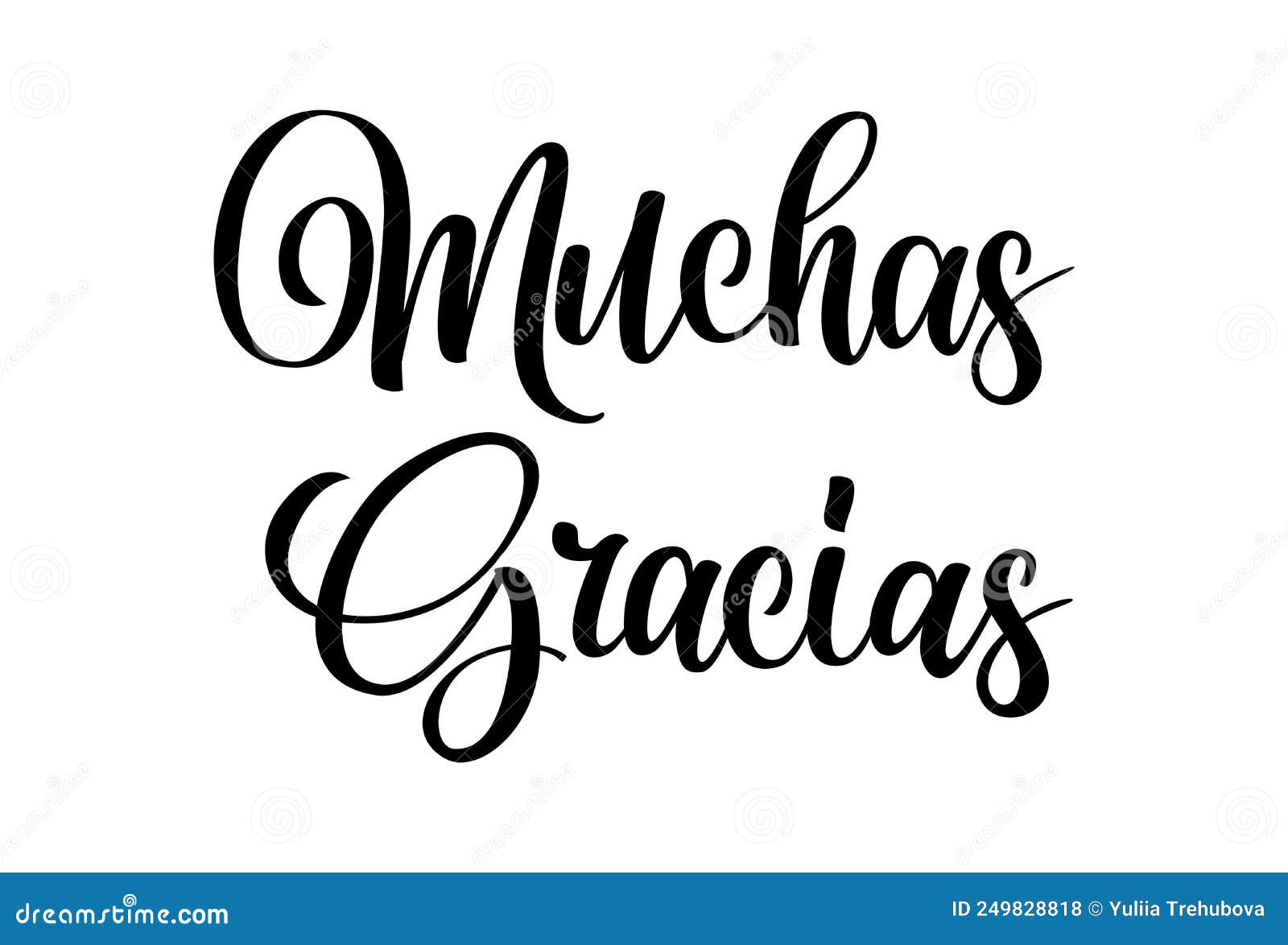 Gracias, Calligraphy. Spanish Translation Of Thank You Phrase. Vector ... Gracias, Calligraphy. Spanish Translation Of Thank You Phrase. Vector ...