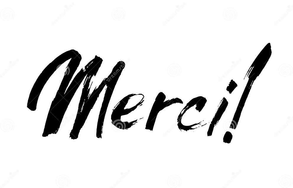 Gracias Las Letras En Francés Merci Frase Dibujada Mano Del Vector