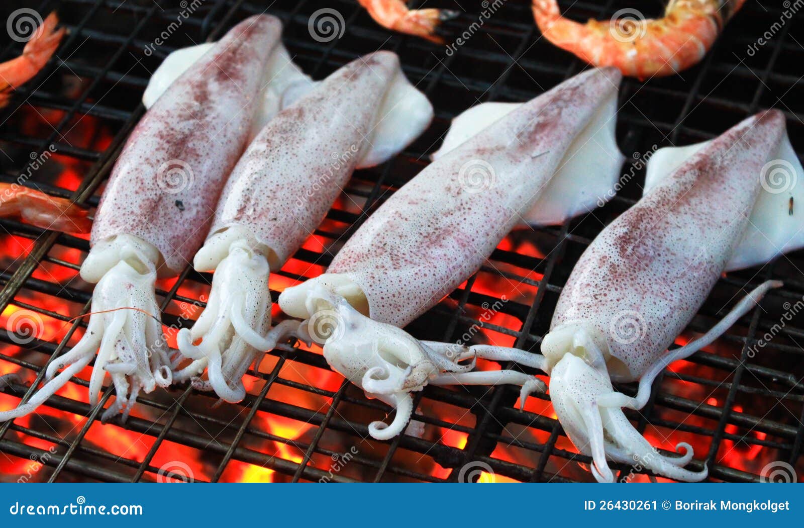 Grade Do Calamar No Mercado Imagem de Stock - Imagem de peixes ...