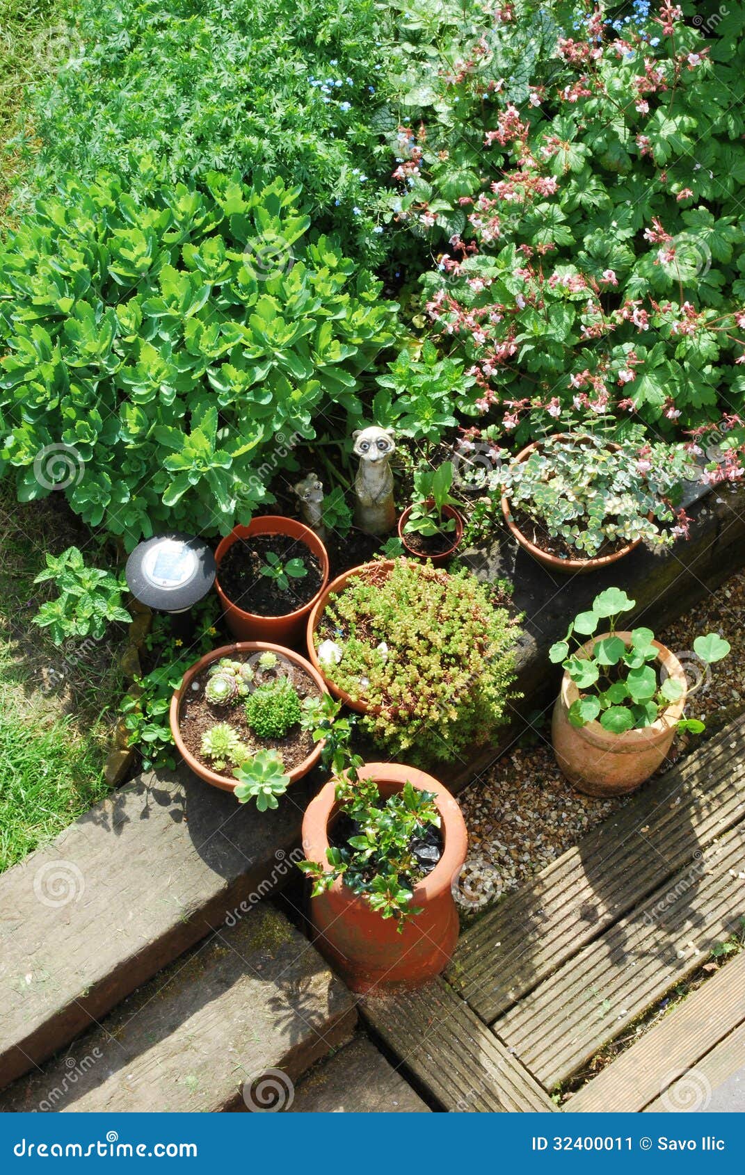 Graden image stock. Image du details, jardin, culture - 32400011