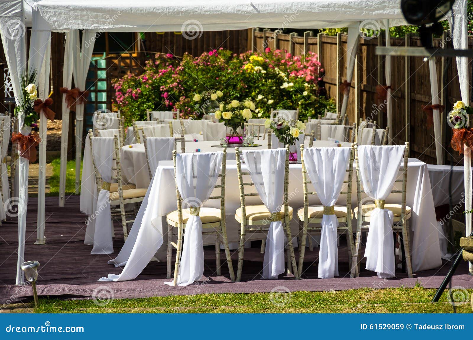 Graden party stock image. Image of gathering, wedding - 61529059