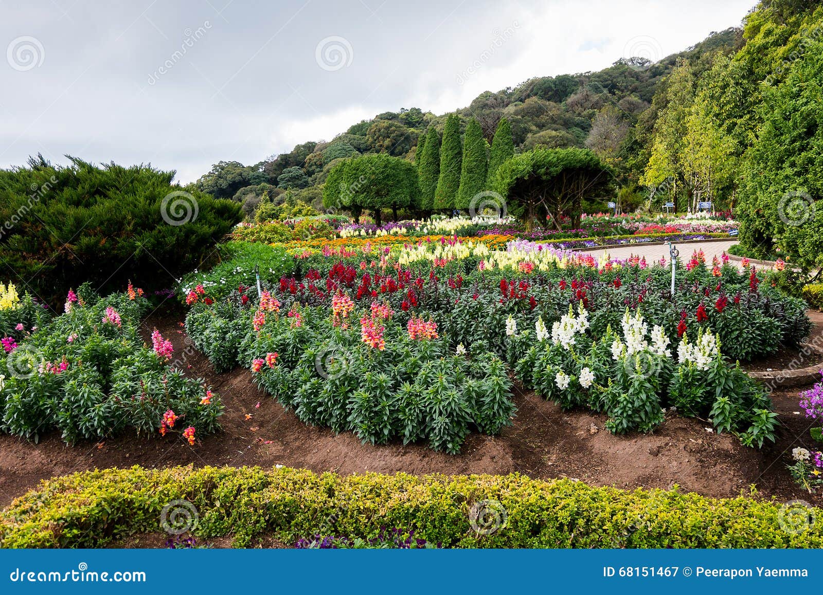 Graden view stock image. Image of background, scenic - 68151467