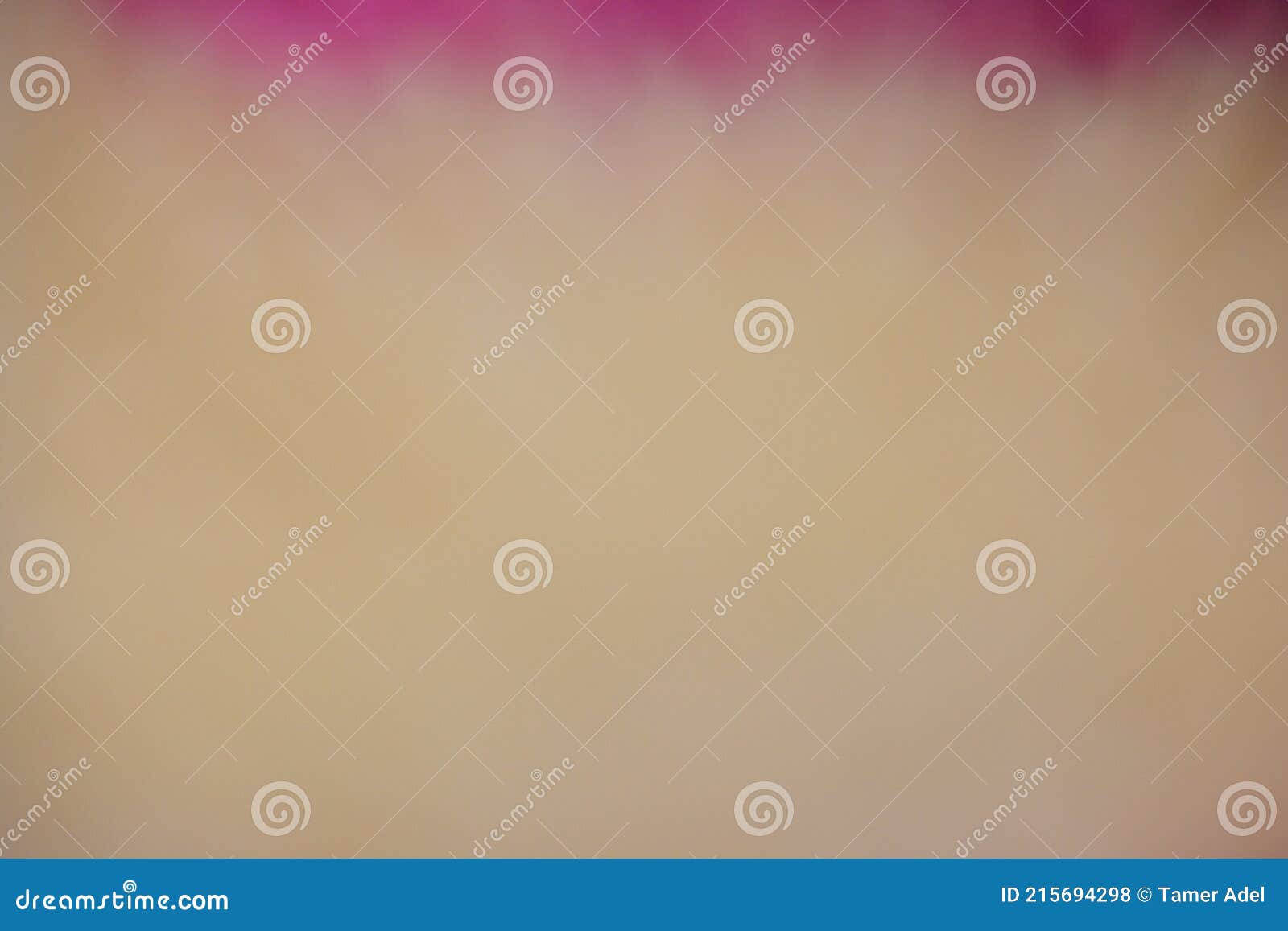 Gradient Beige Background for Wallpapers and Graphic Designs, Blurred ...