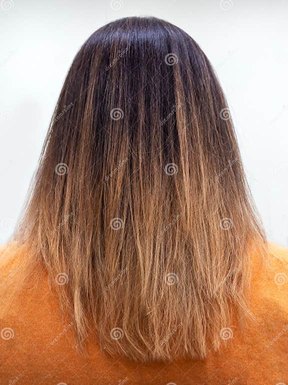 Gradient Color on the Hair. Colored Staining of the Hair Stock Image ...