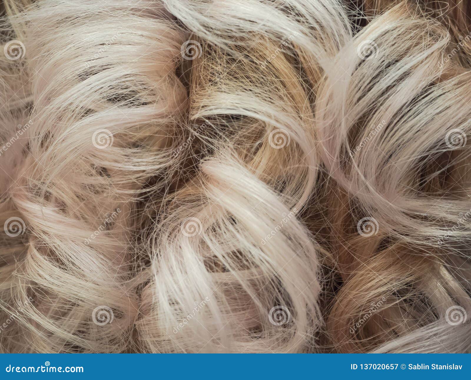 Gradient Color on Womens Curly Hair. Close Up. Stock Image - Image of ...
