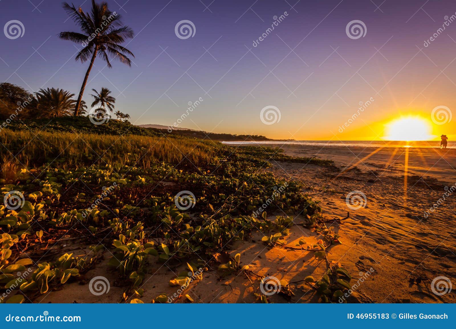 Gradient Colors at Sunset on a Sandy Beach with Greenery on the Stock ...