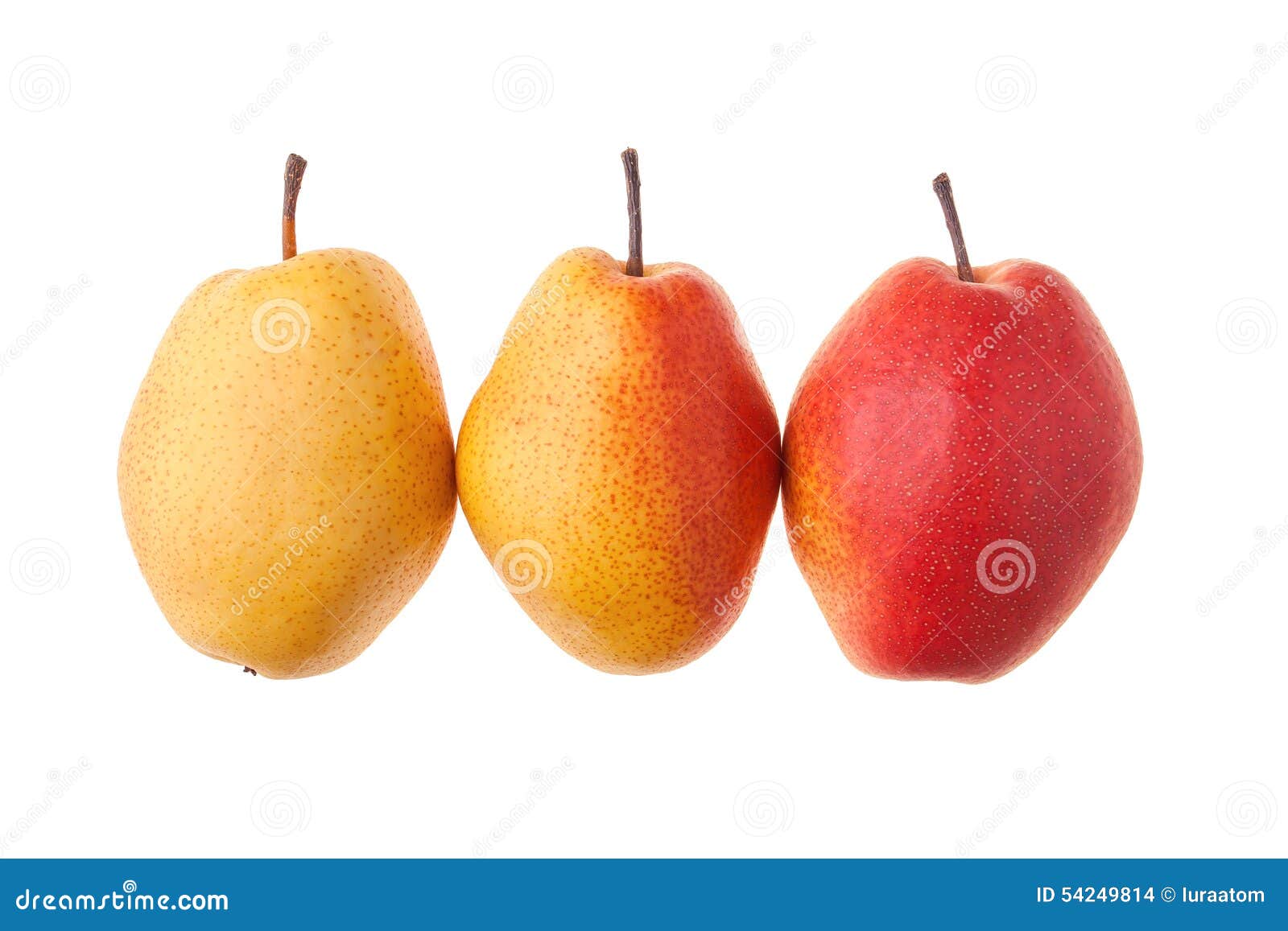 Gradient colour pears stock photo. Image of circle, shiny - 54249814