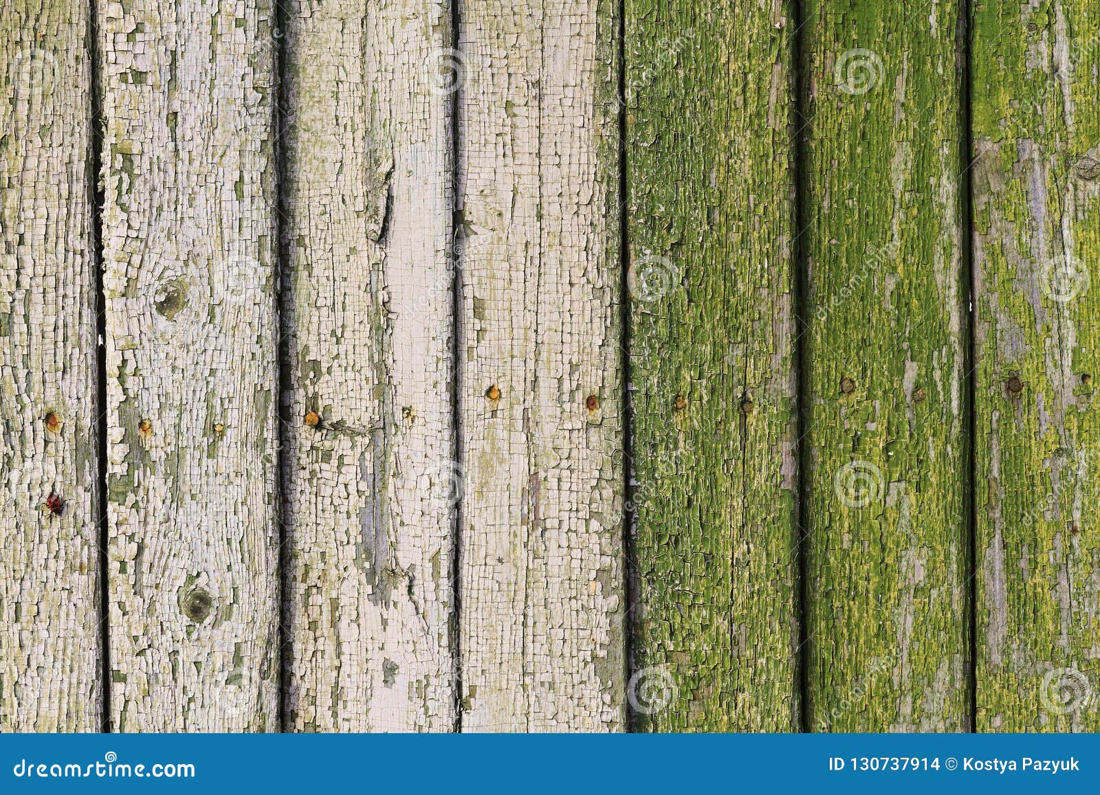Gradient of Green Paint on Wooden Boards Stock Photo - Image of ...