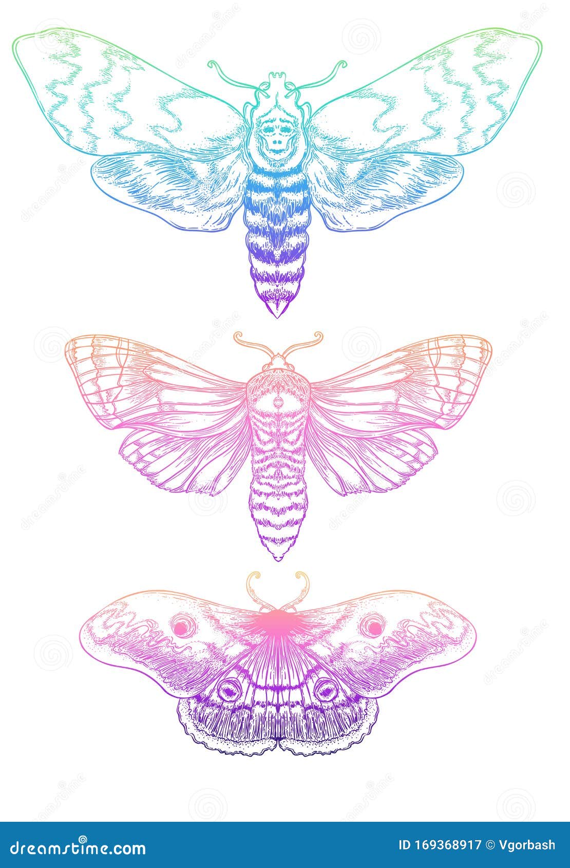 Gradient Moth Set. Beautiful Vintage Vector Illustration. Psychedelic ...