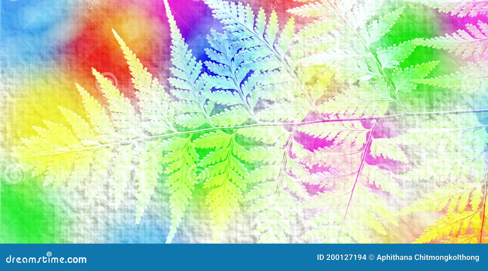 Gradient Multi Color on Fern Pattern Stock Illustration - Illustration ...