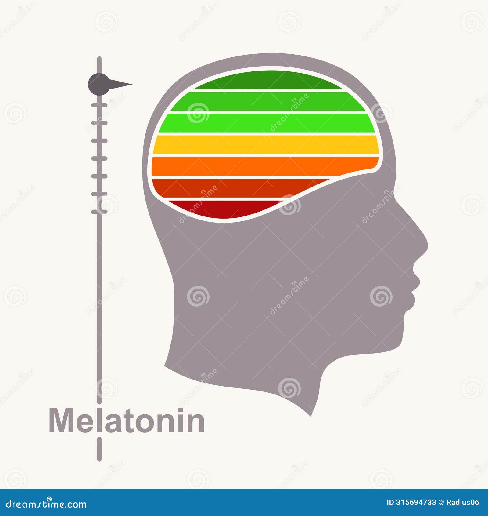 Melatonin Level Scale And Silhouette Of Man. Cartoon Vector ...