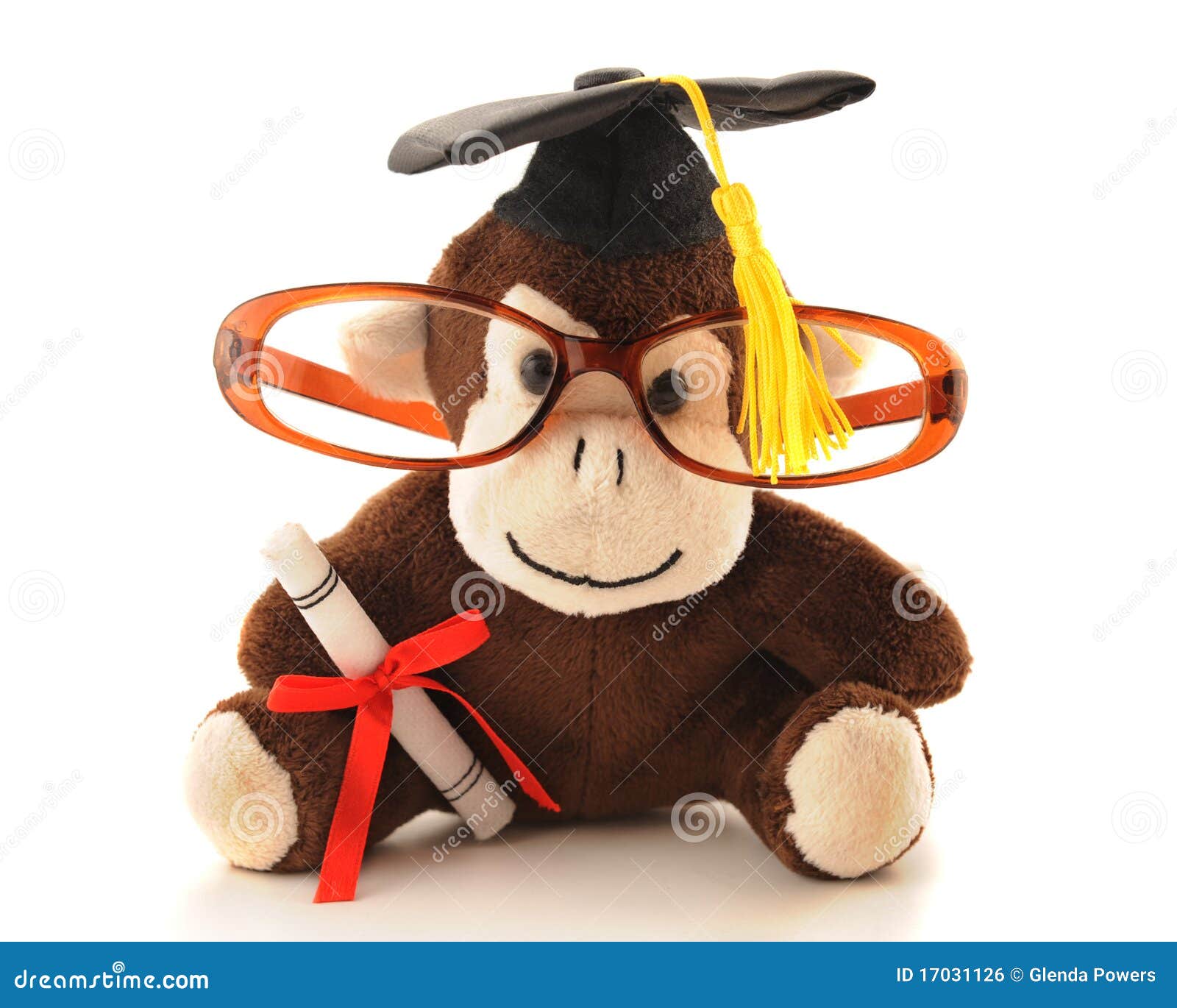 Graduado del mono foto de archivo. Imagen de animal, rodado - 17031126