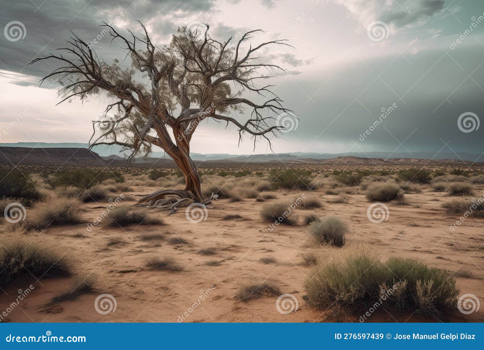 Gradually Withering, Expansive Single Tree Grappling with Harsh Arid ...