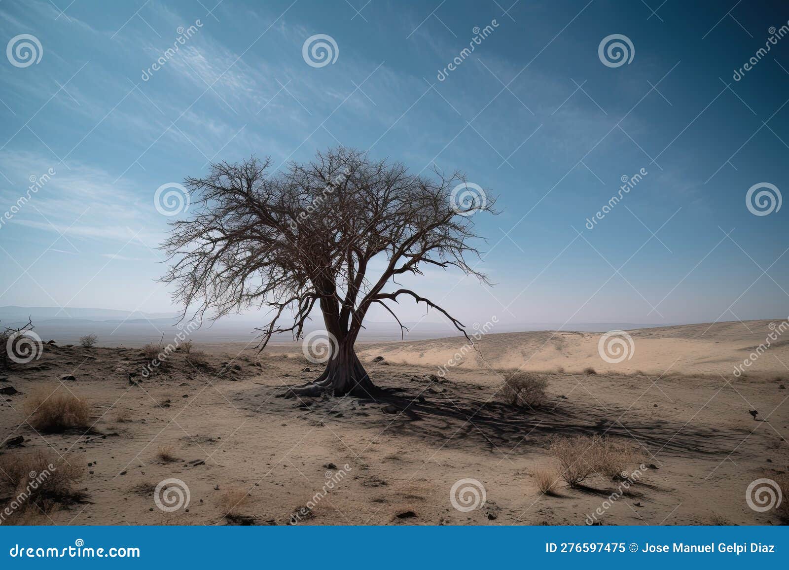 Gradually Withering, Expansive Single Tree Grappling with Harsh Arid ...