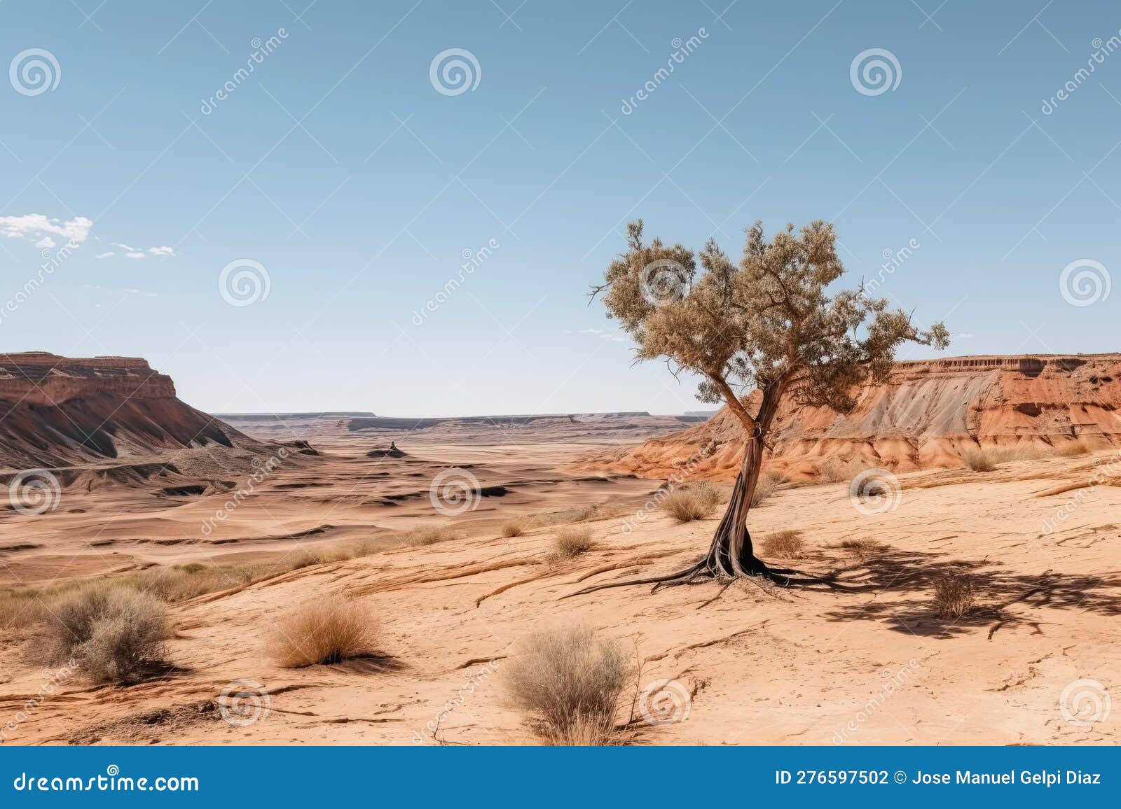 Gradually Withering, Expansive Single Tree Grappling with Harsh Arid ...