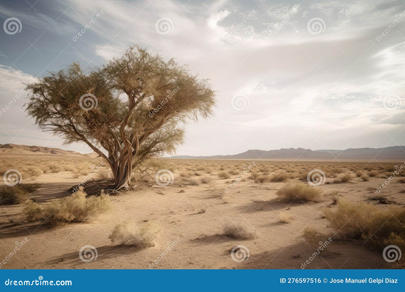 Gradually Withering, Expansive Single Tree Grappling with Harsh Arid ...