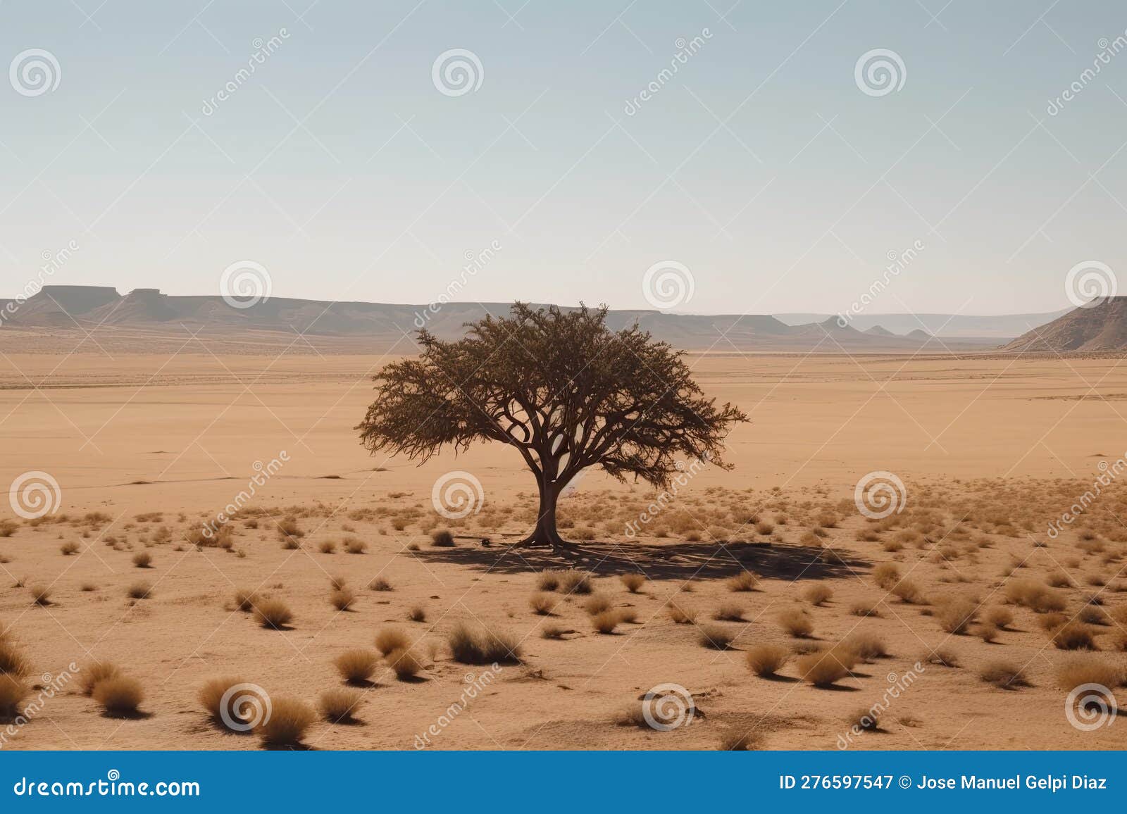 Gradually Withering, Expansive Single Tree Grappling with Harsh Arid ...
