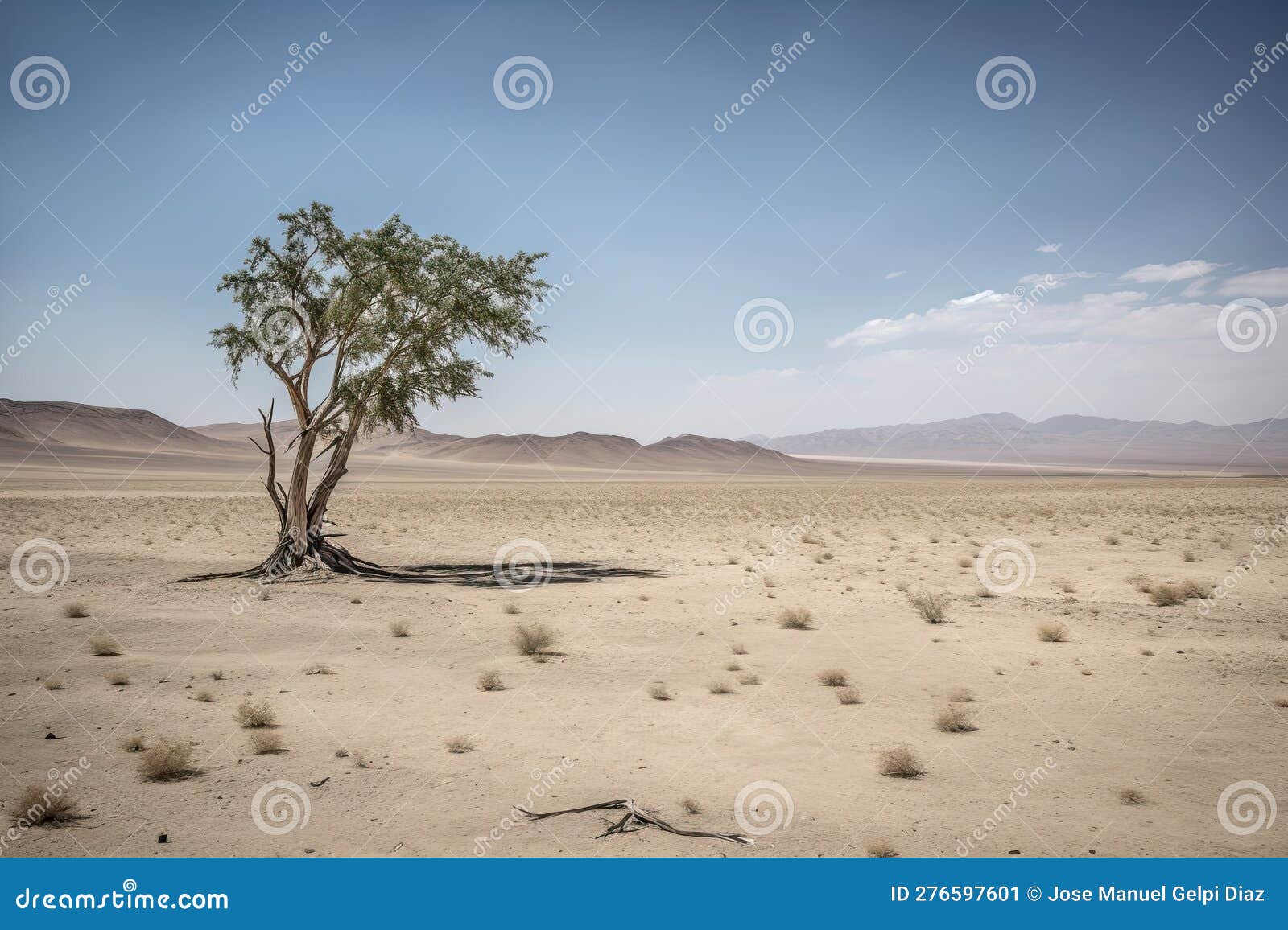 Withering Tree Vector Illustration | CartoonDealer.com #46036486