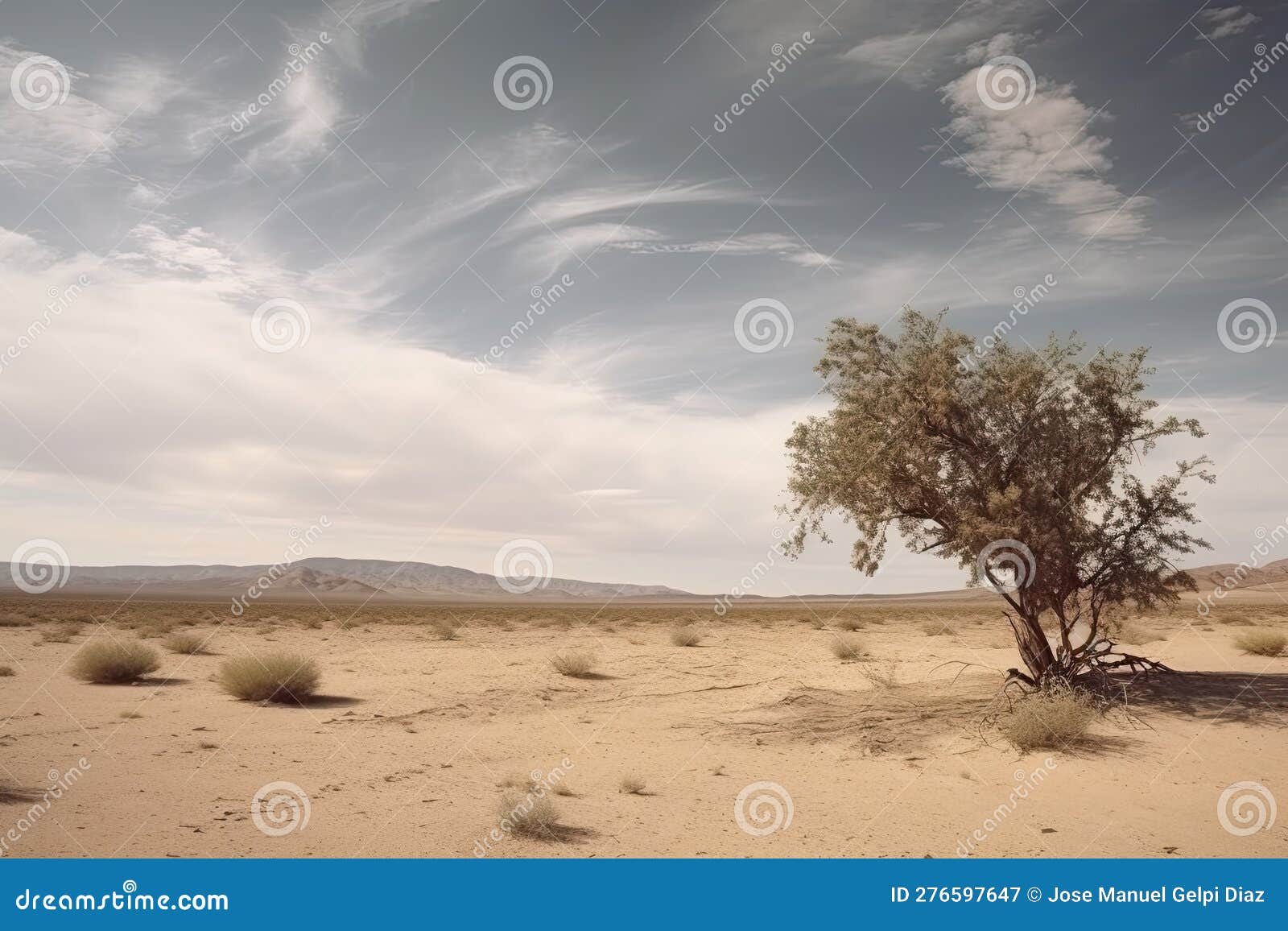 Gradually Withering, Expansive Single Tree Grappling with Harsh Arid ...