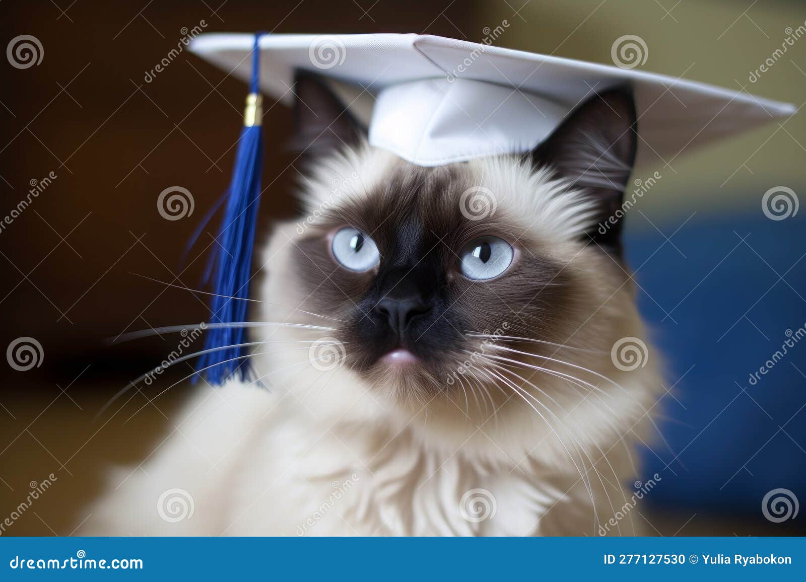 Graduate Cat Smart. Generate AI Stock Illustration - Illustration of ...