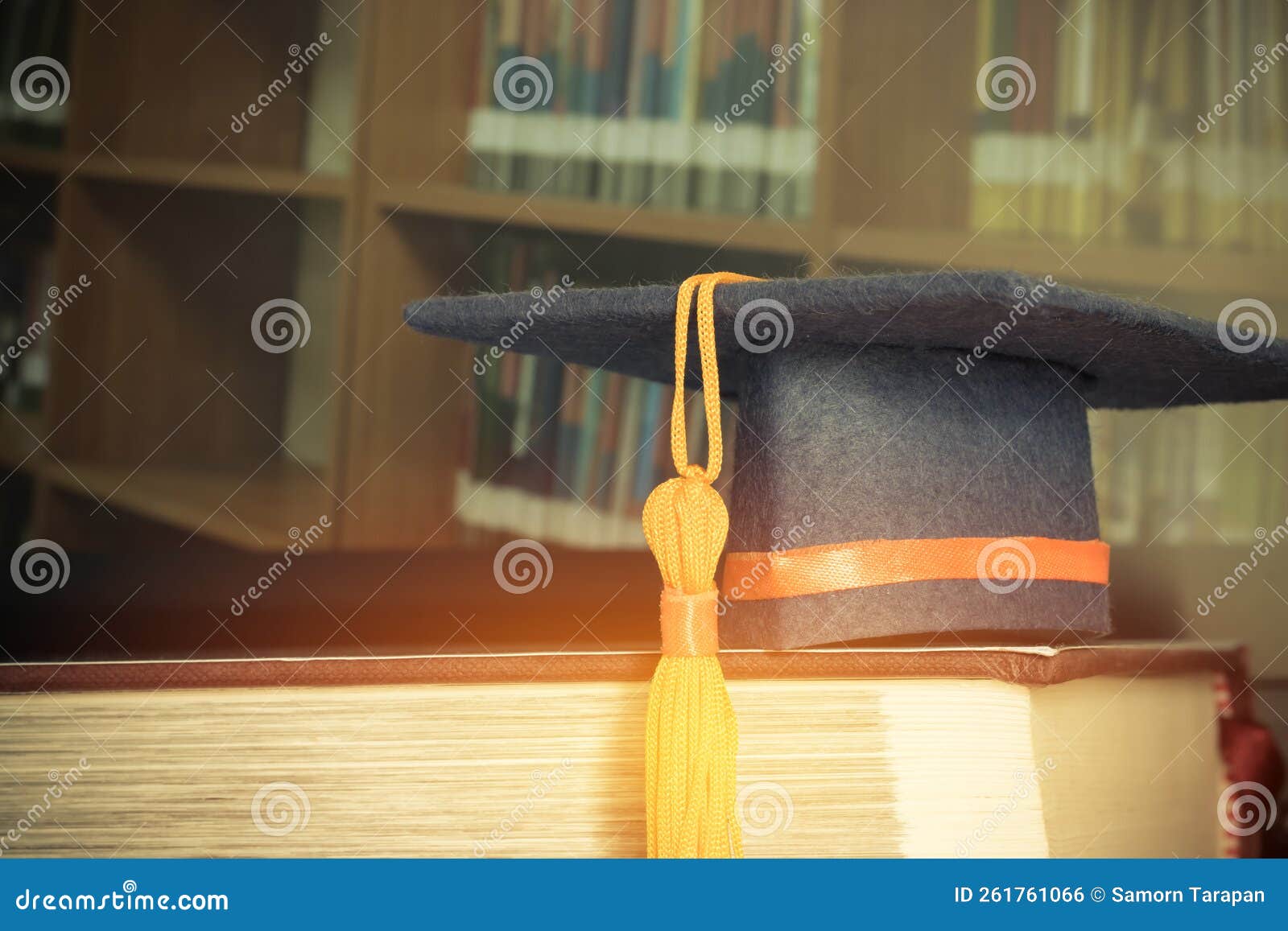 Graduate or Education Knowledge Learning Study Abroad Concept ...