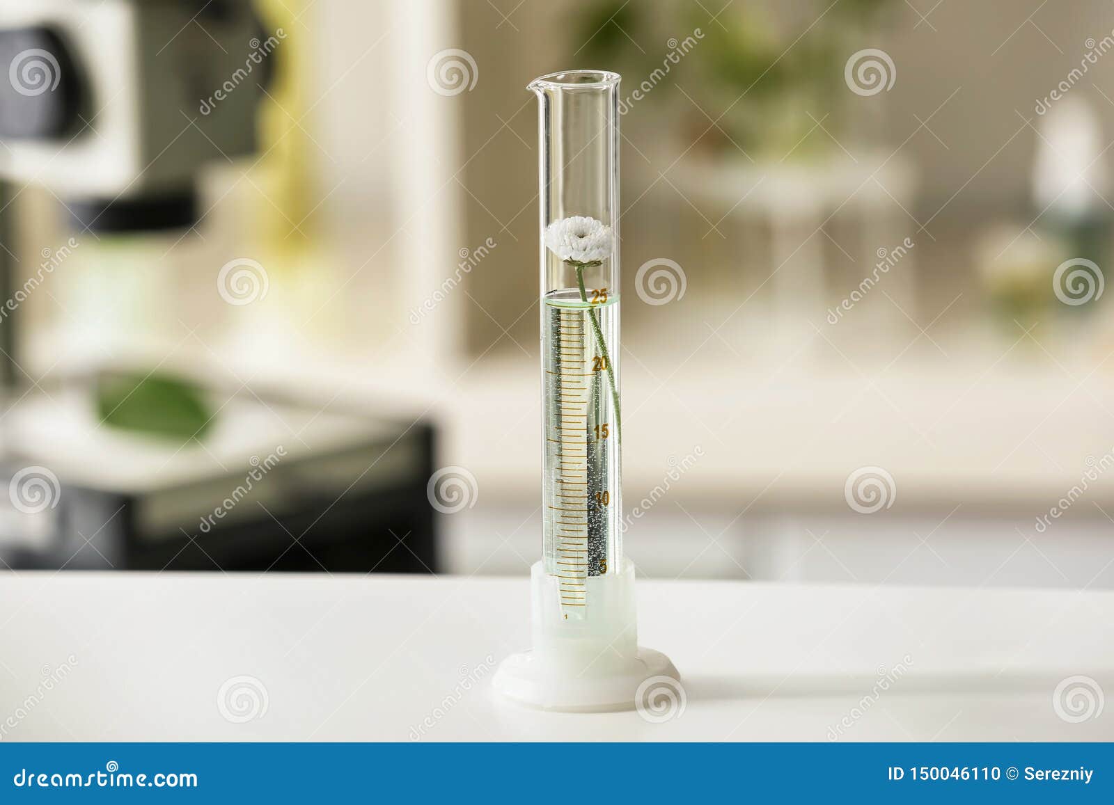 Graduated Cylinder with Plant on Table in Laboratory Stock Photo ...