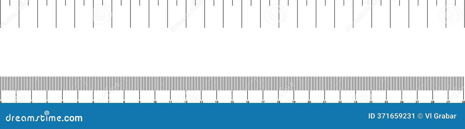Graduated Ruler Vector Illustration On A White. Inch And Centimeter ...