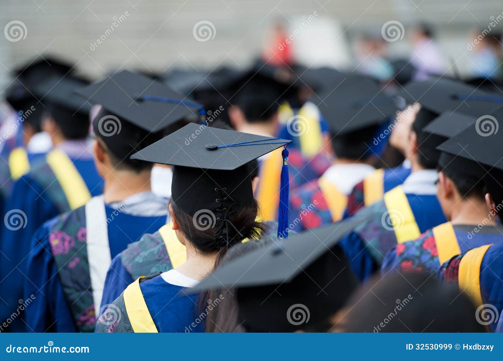 Graduates editorial stock image. Image of grad, back - 32530999