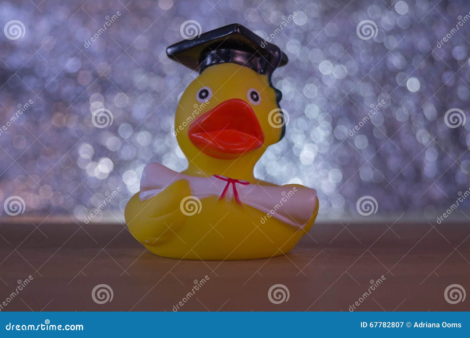 Graduating rubber duck stock image. Image of yellow, duck - 67782807