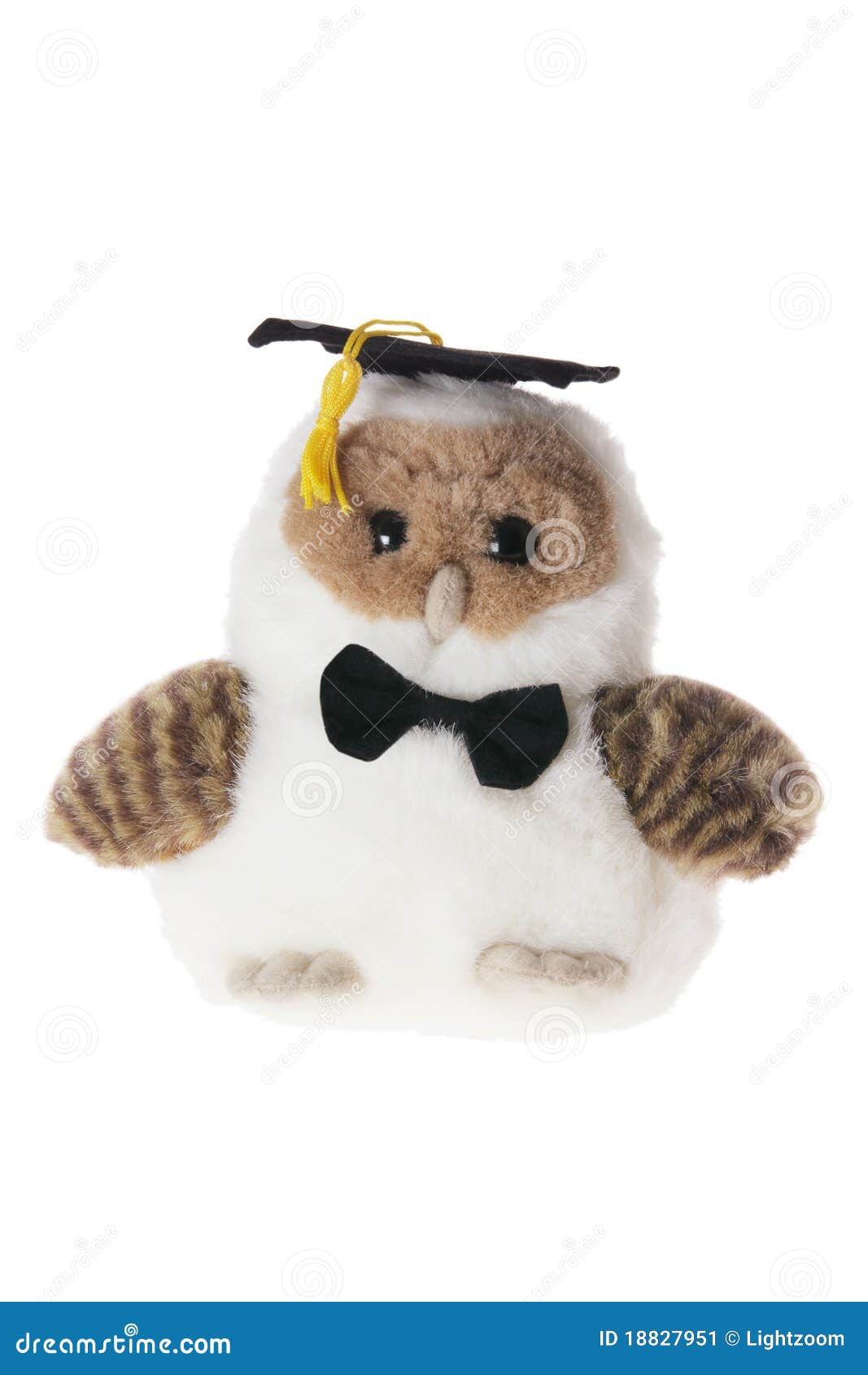 Graduating Soft Toy Owl stock image. Image of graduate - 18827951