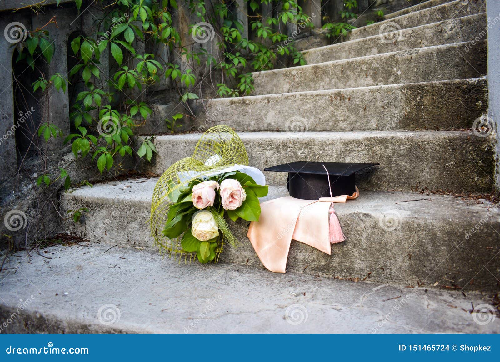 Graduation Cap or Mortaboard with a Bunch of Roses on the Old Stairs in ...