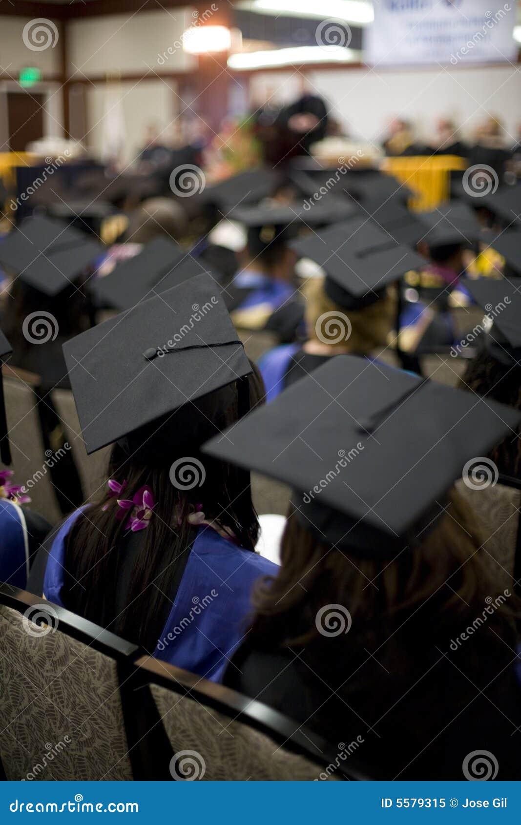 Graduation Crowd 2 stock image. Image of group, education - 5579315