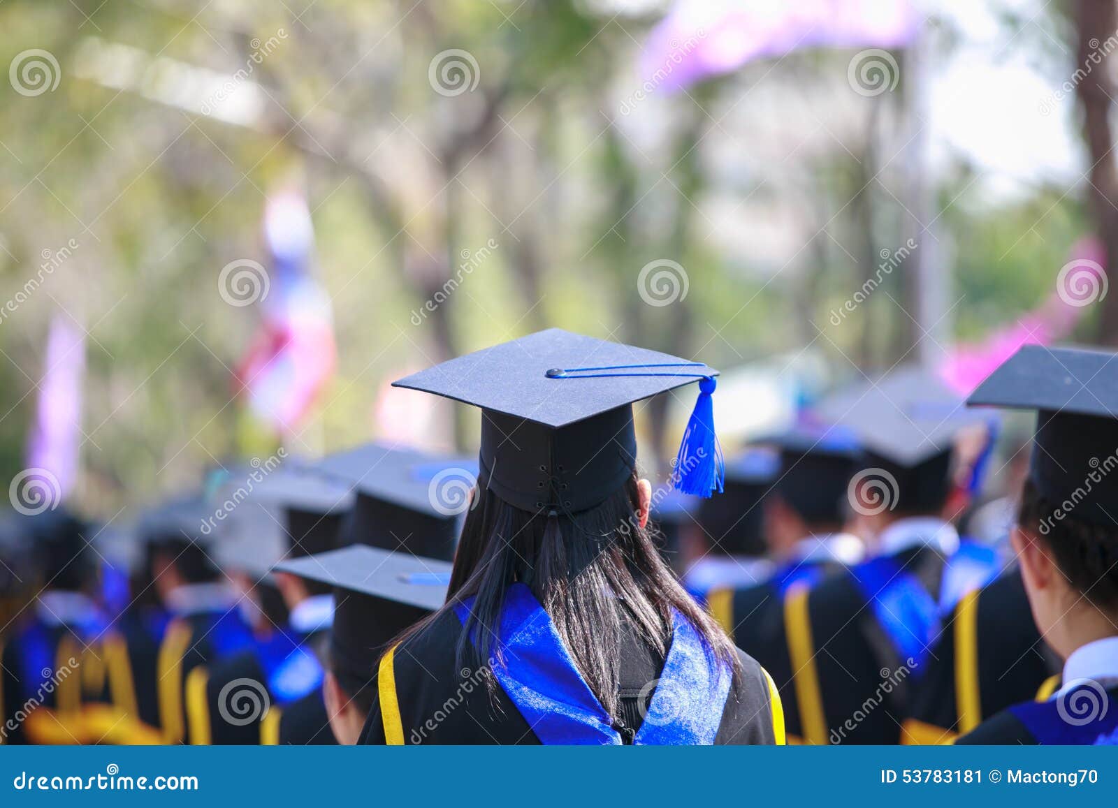 Graduation stock image. Image of degree, commencement - 53783181