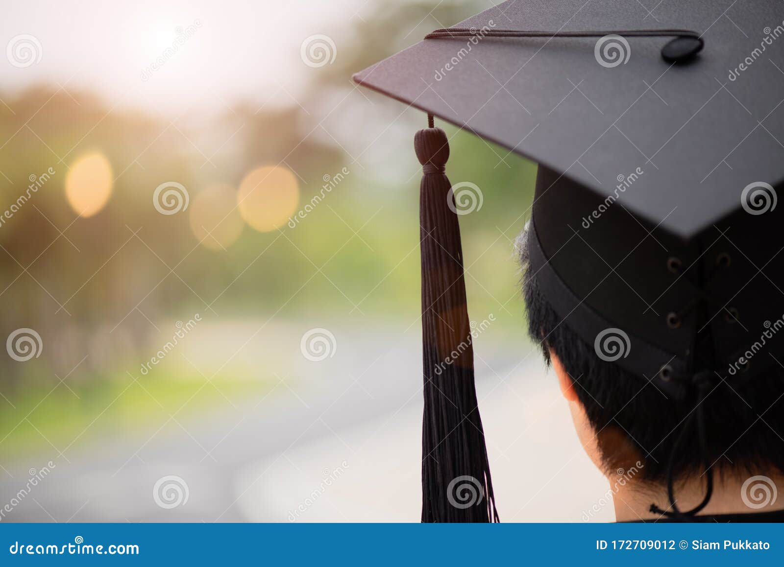 Graduation. Rear View of the Student with University Graduates Crowded ...