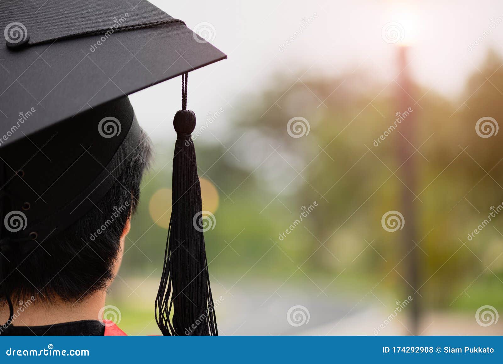 Graduation. Rear View of the Student with University Graduates Crowded ...