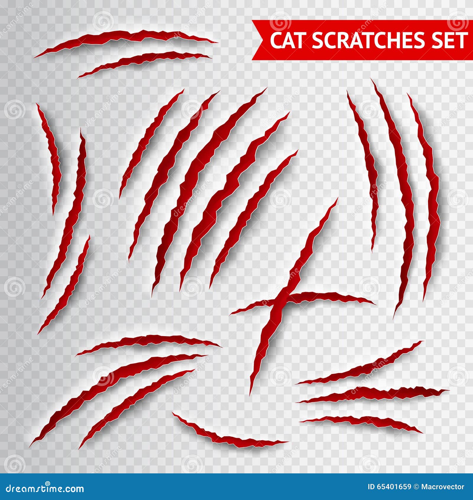 Graffi Di Gatto Trasparenti Illustrazione Vettoriale - Illustrazione di ...