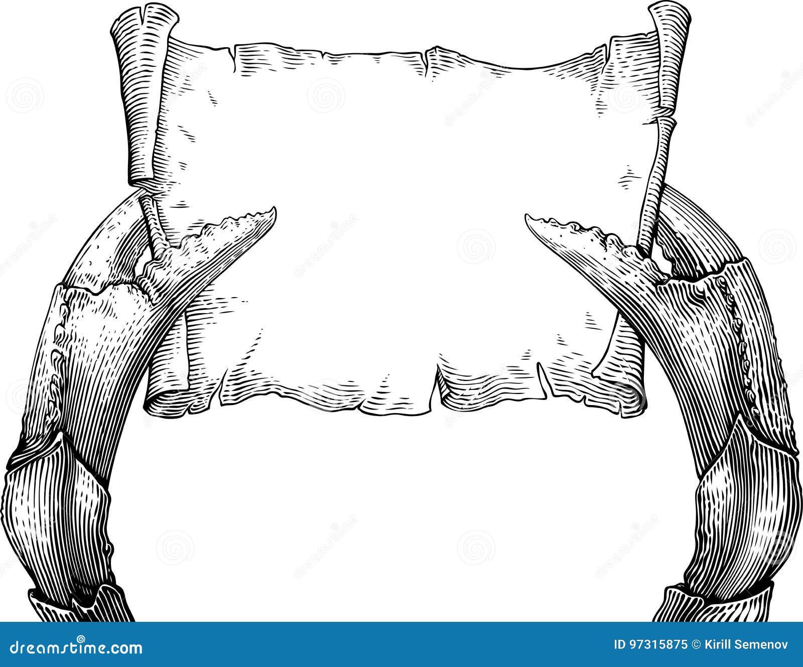 Graffia la pergamena illustrazione vettoriale. Illustrazione di oceano ...