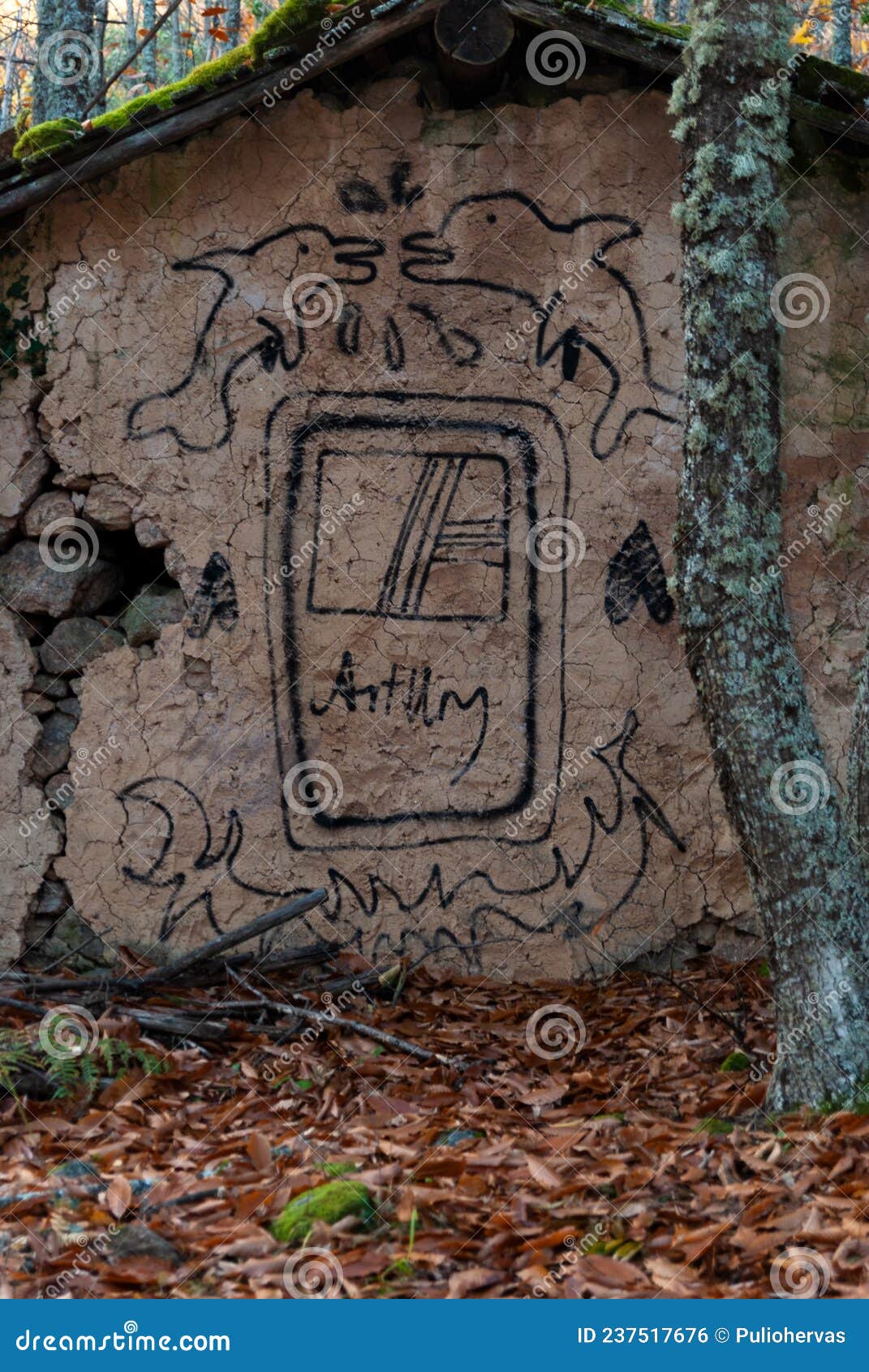 Graffiti on Abandoned House in Forest in Autumn with Fallen Leaves and ...