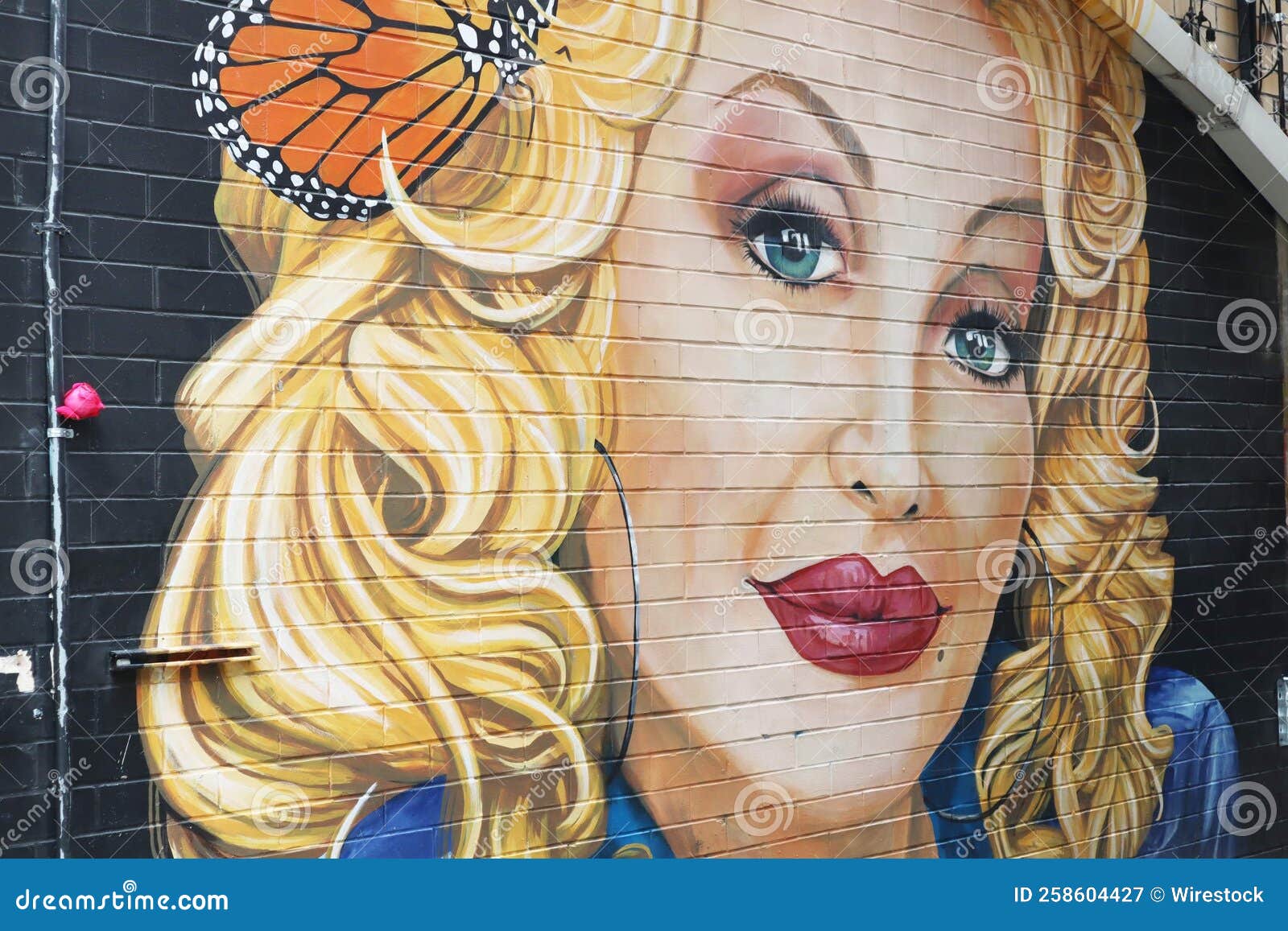 Graffiti Art One a Wall of Dolly Parton Editorial Photography - Image ...