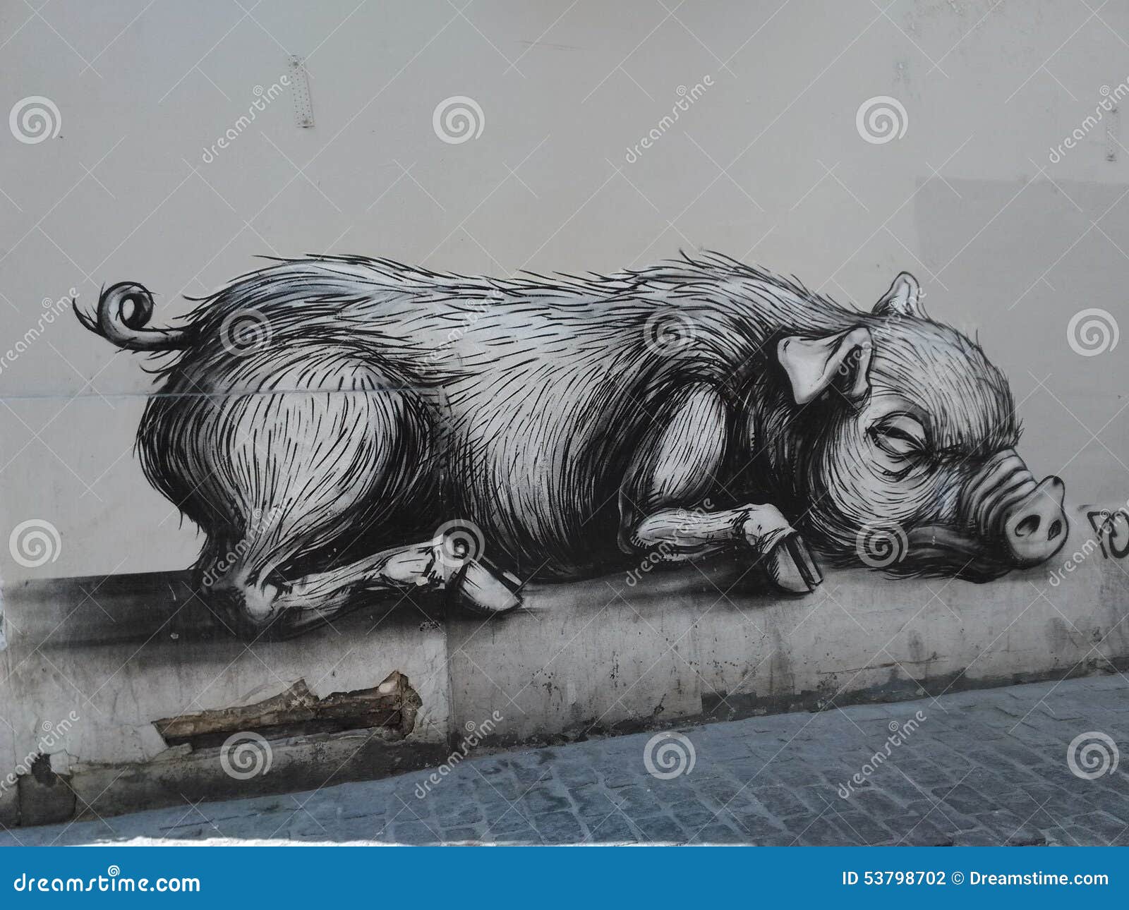 Graffiti of big pig editorial photography. Image of walls - 53798702