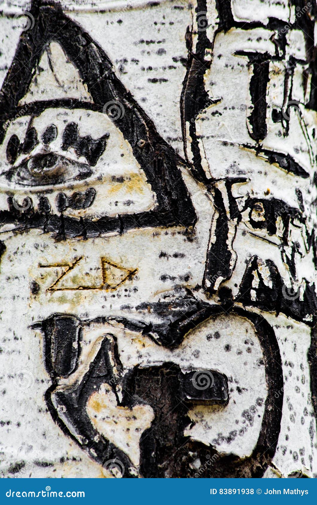 Graffiti Birch Tree Royalty-Free Stock Image | CartoonDealer.com #83891938