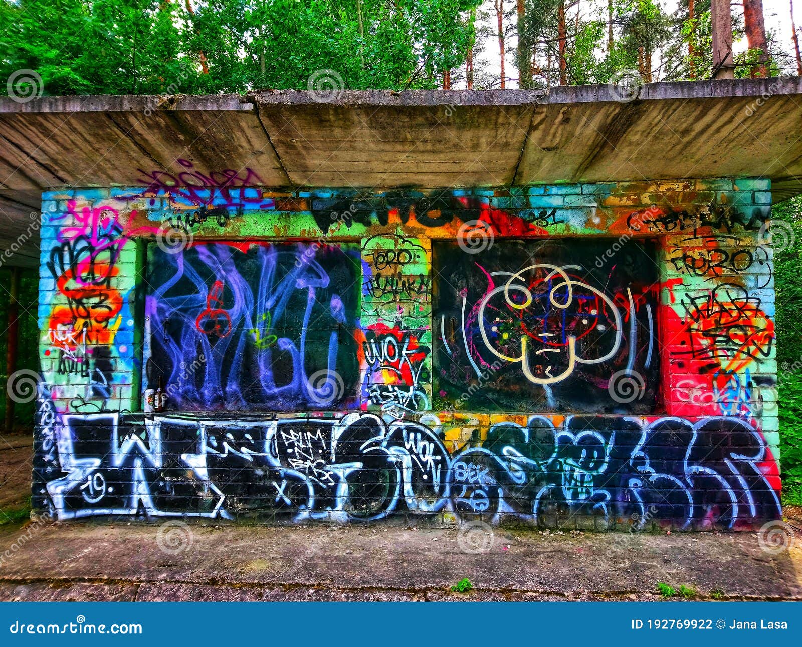 Graffiti on the building editorial photography. Image of plant - 192769922