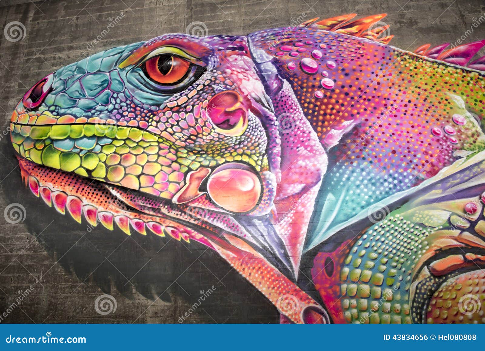 Colorful Lizard Art