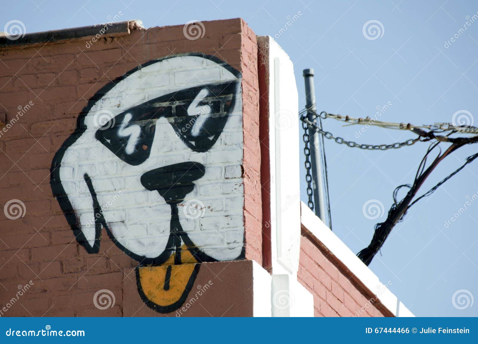 Graffiti Dog editorial photo. Image of vandalism, shades - 67444466