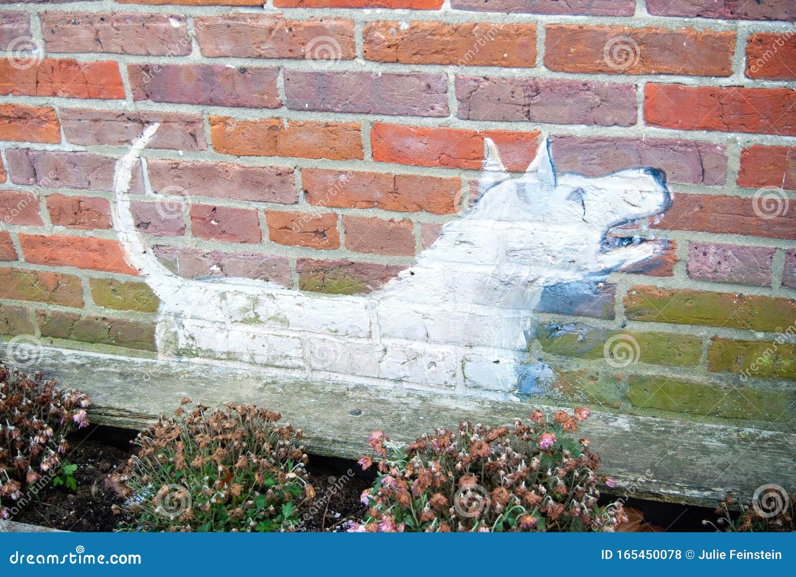 Graffiti Dog editorial stock photo. Image of mural, surprise - 165450078