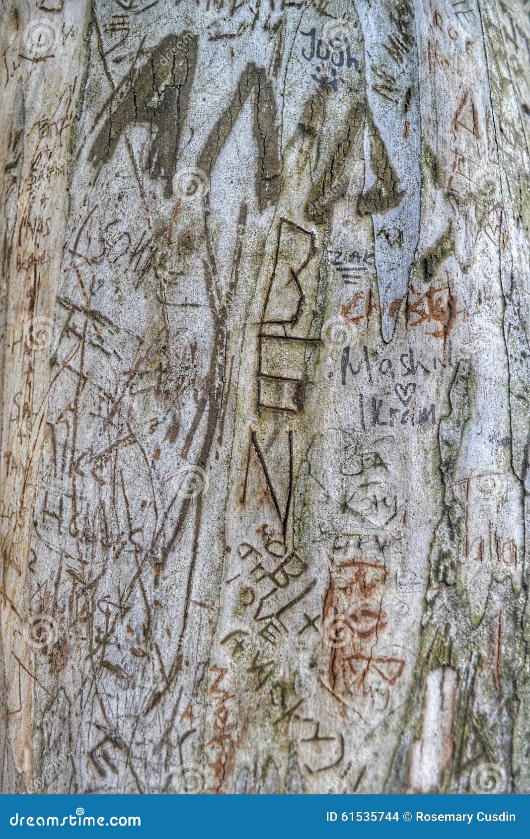 Graffiti stock photo. Image of graffiti, texture, written - 61535744